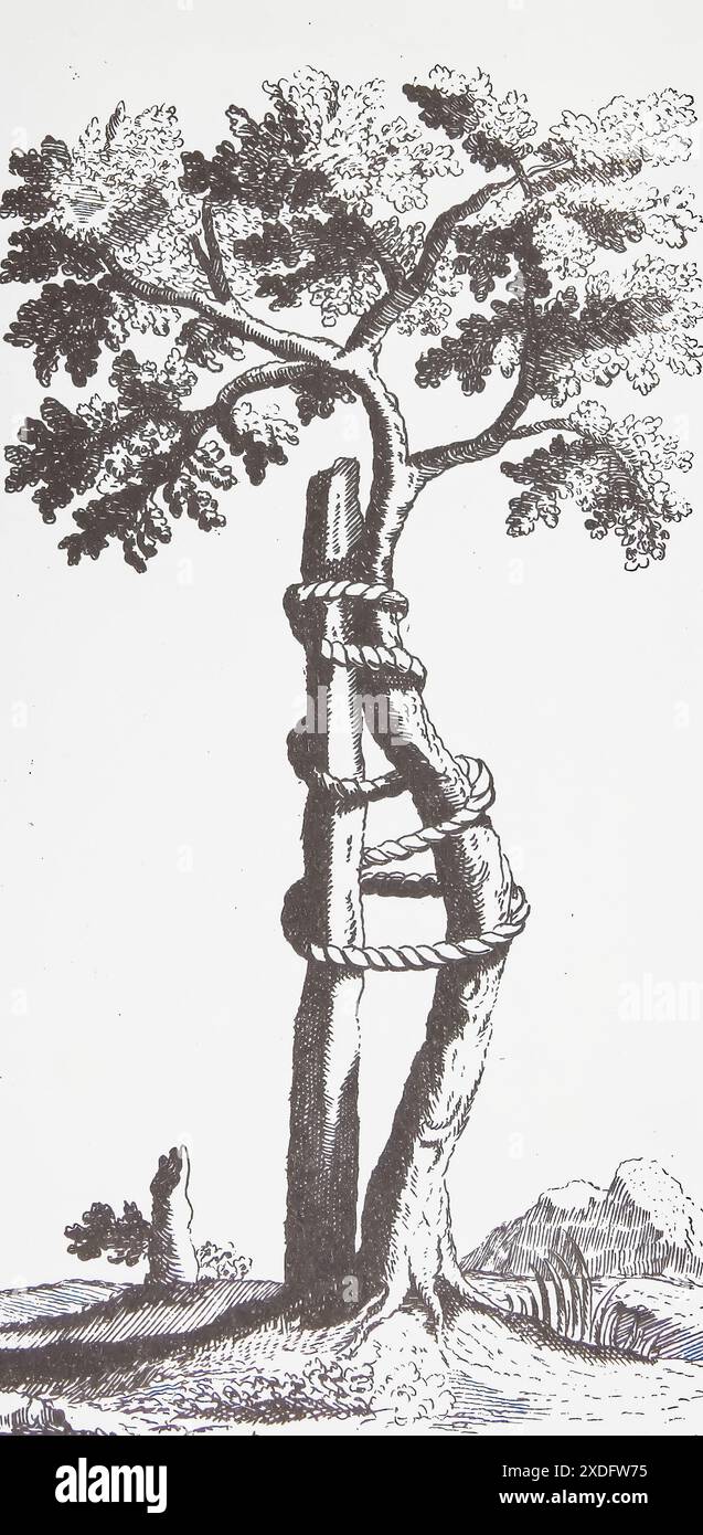 Book spine symbol hi-res stock photography and images - Alamy