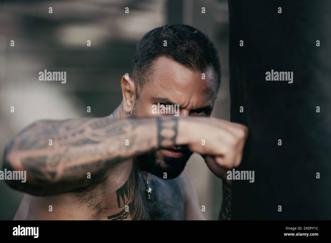 Portrait of power boxer. Man boxer face close up. Fists fight. Mans ...