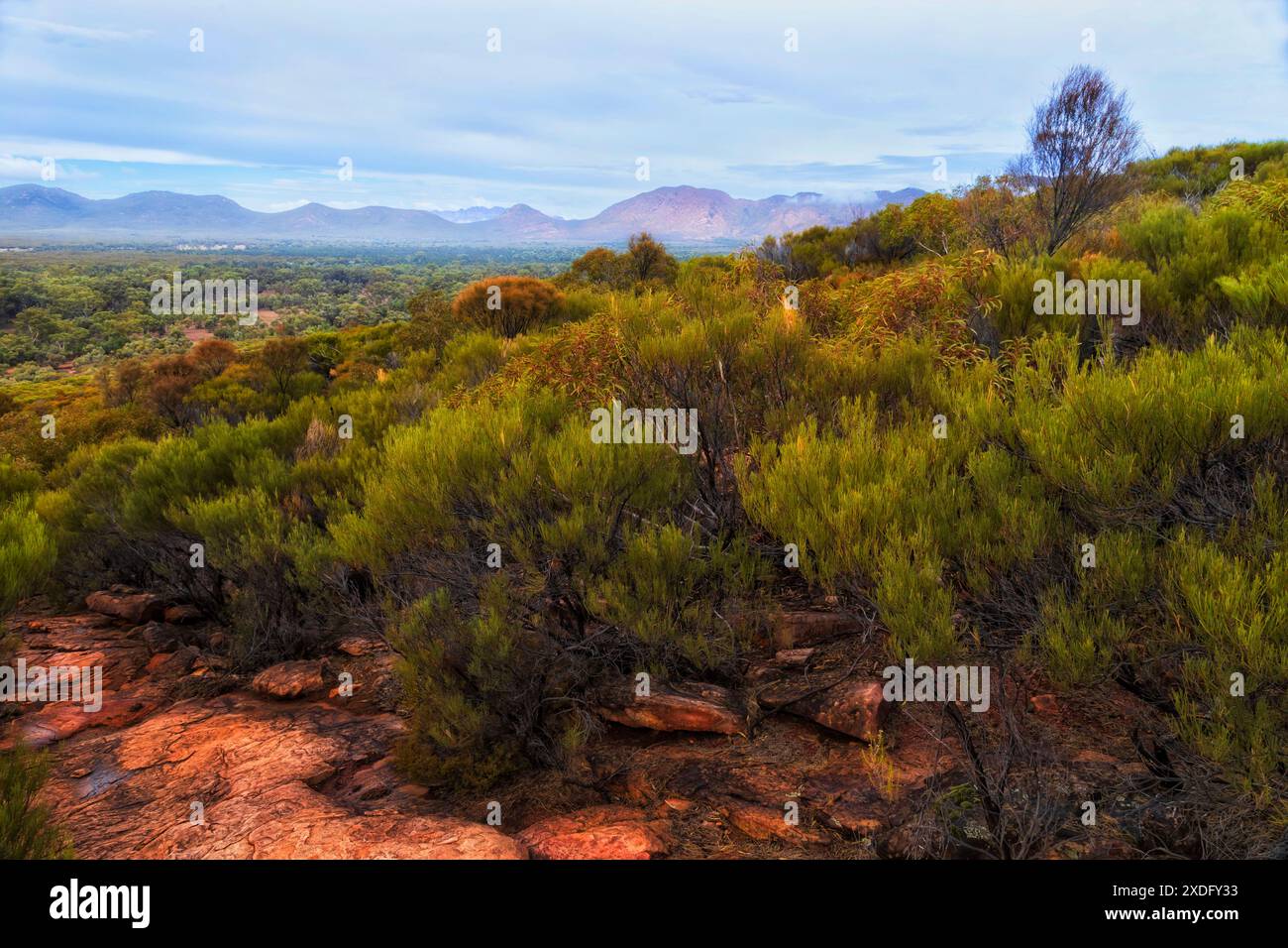 Inside bowl of Wilpena Pound rock formation in Flinders Ranges of South ...