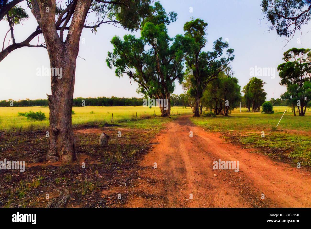 Single undealed road track in red soil outback of Australia on a farm ...