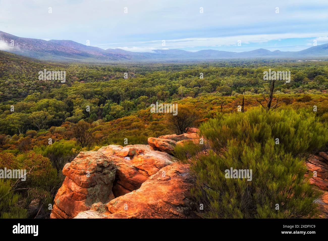 Inside Wilpena Pound valley of Flinders Ranges national park in South ...