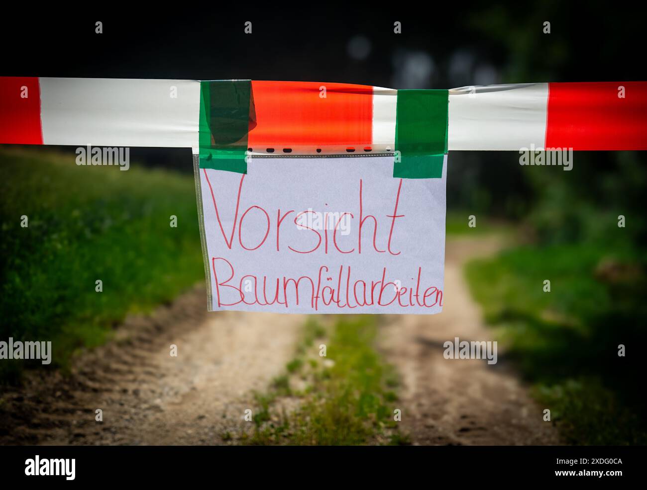 Notice of tree felling hi-res stock photography and images - Alamy