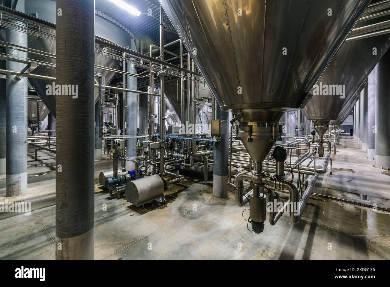 Large industrial stainless steel vats for fermentation in modern ...