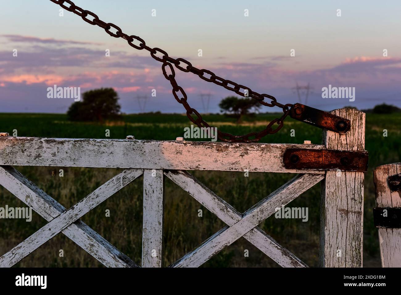 Field gateway in countryside, Buenos Aires province, Patagonia ...
