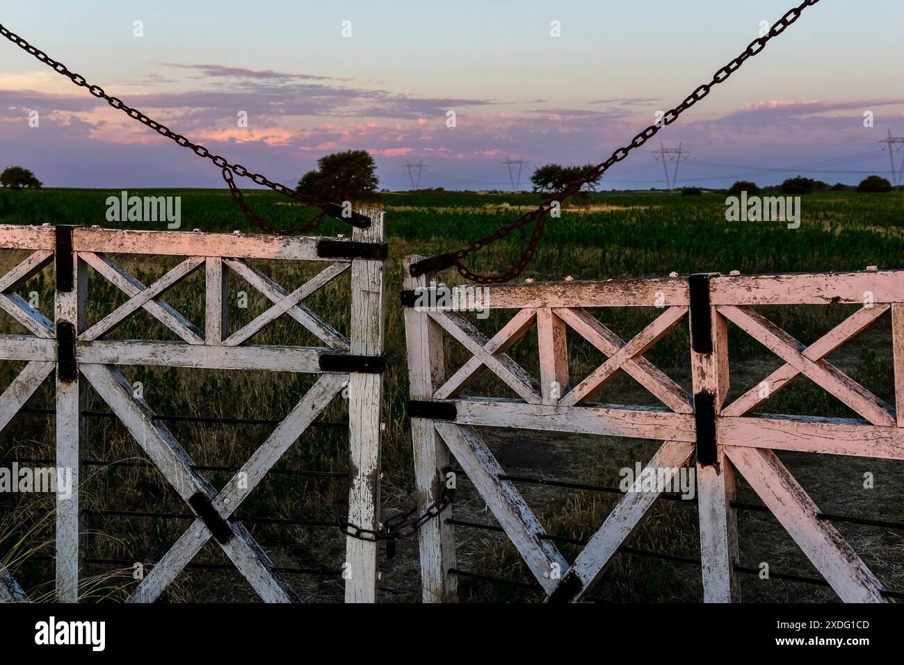 Field gateway in countryside, Buenos Aires province, Patagonia ...