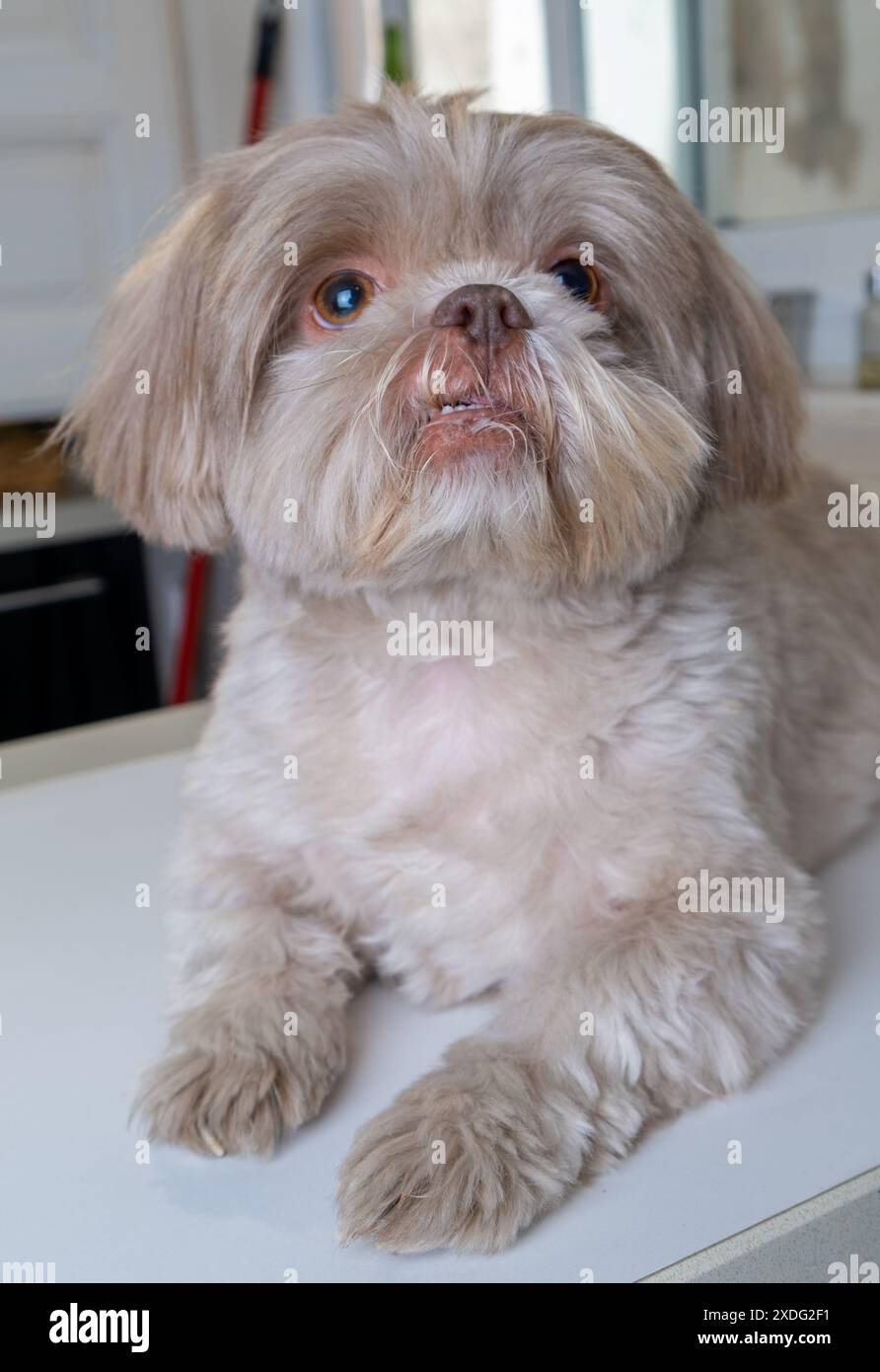 Toy locking hi-res stock photography and images - Alamy