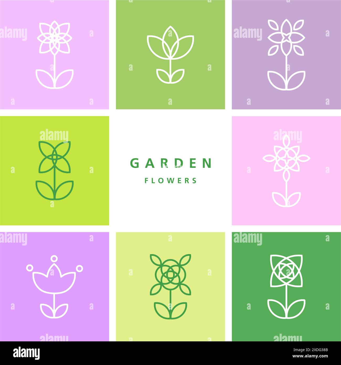 Daisy floral garden spring pictogram Stock Vector Images - Alamy