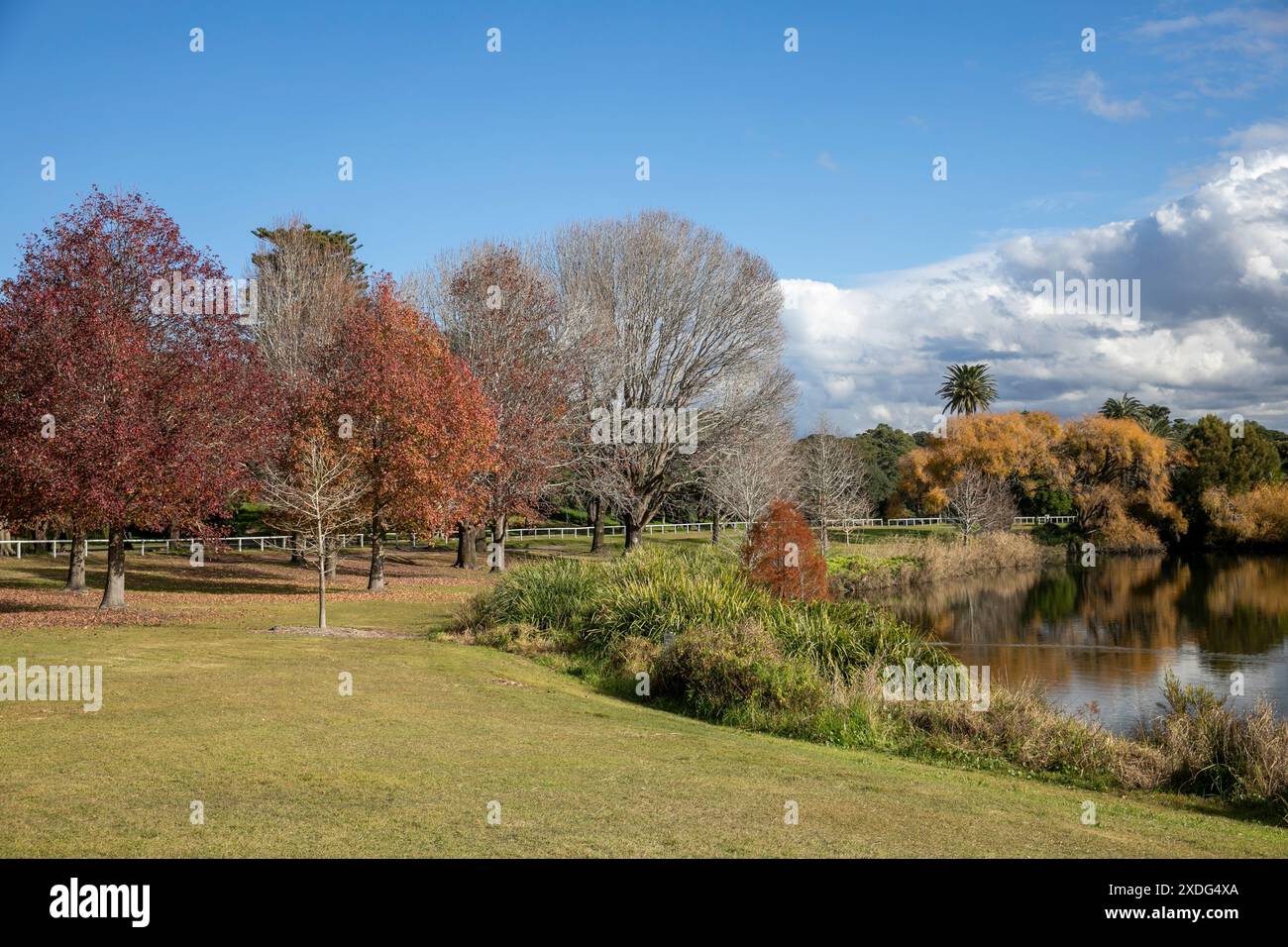 Sydney Australia, Centennial Park and parklands in Sydney, nature and ...