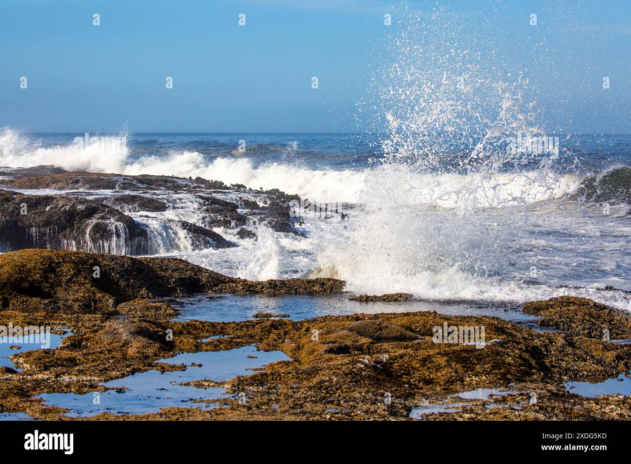 Pacific ocean waves landing on the rocky Oregon coast, horizontal Stock ...