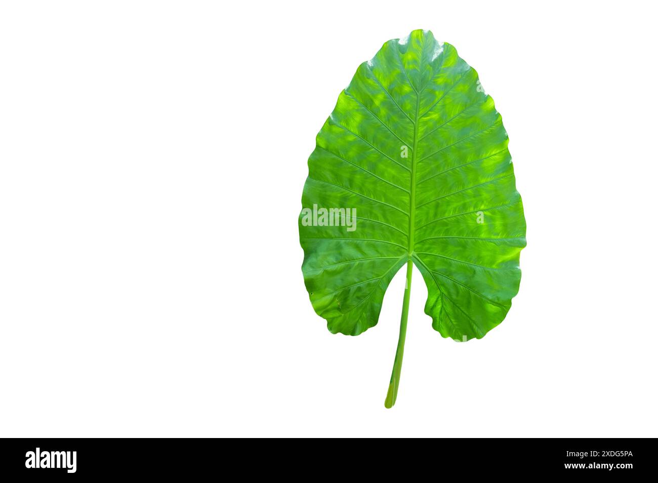 Enhanced colors Cut Out Stock Images & Pictures - Alamy