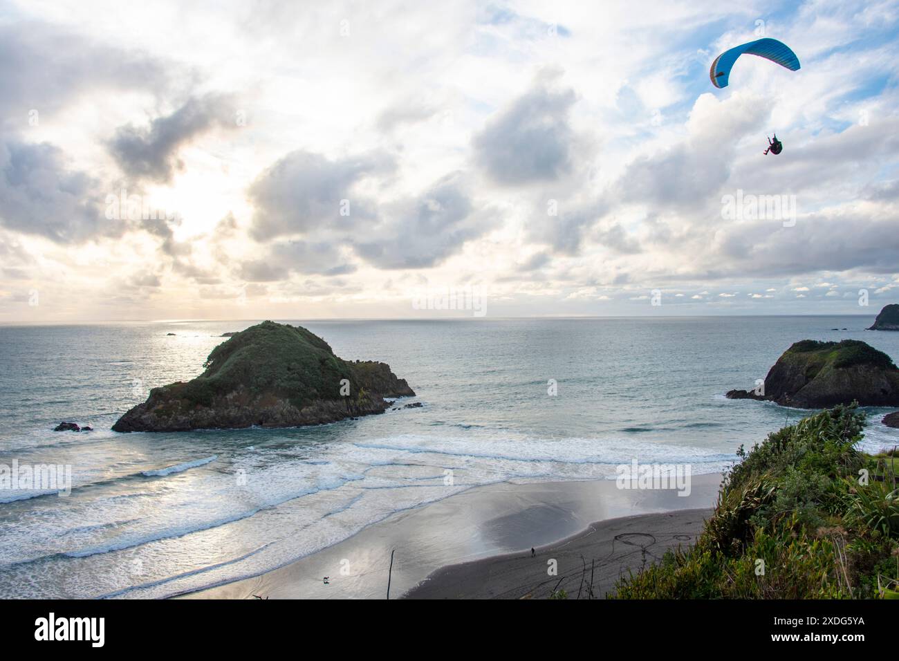 Motuotamatea snapper rock hi-res stock photography and images - Alamy