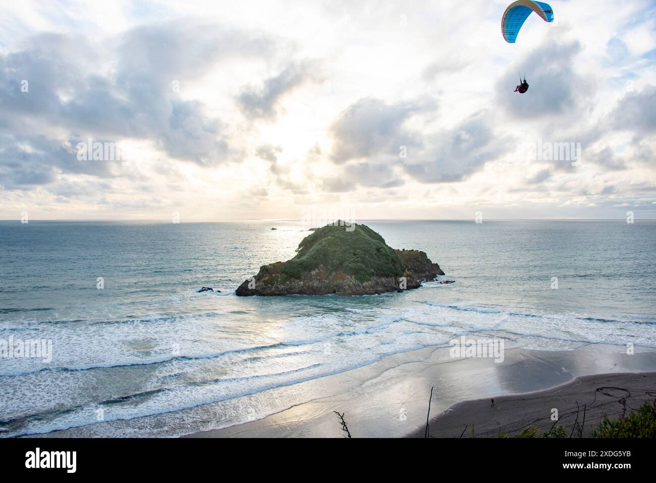 Motuotamatea snapper rock hi-res stock photography and images - Alamy