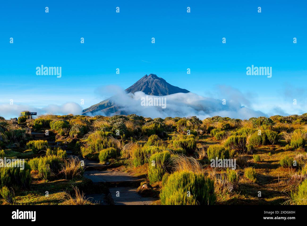 Mount Taranaki - New Zealand Stock Photo - Alamy