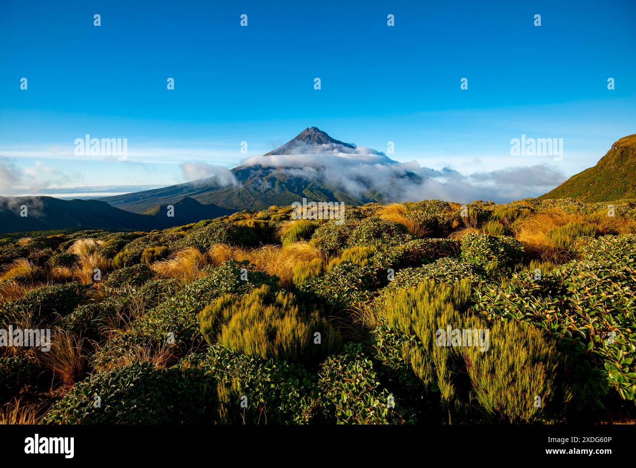 Mount Taranaki - New Zealand Stock Photo - Alamy