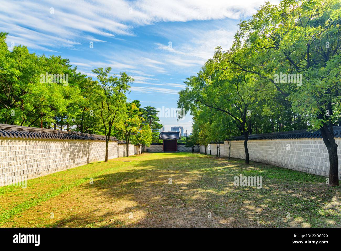 Awesome view of green garden and scenic gate of Gyeongbokgung Palace in ...