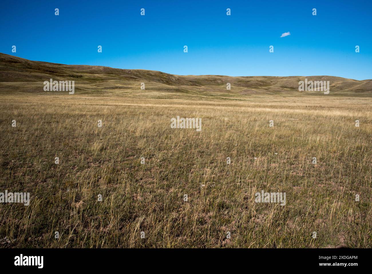 Whiskey Gap is an area in the Canadian prairie at the US border where ...