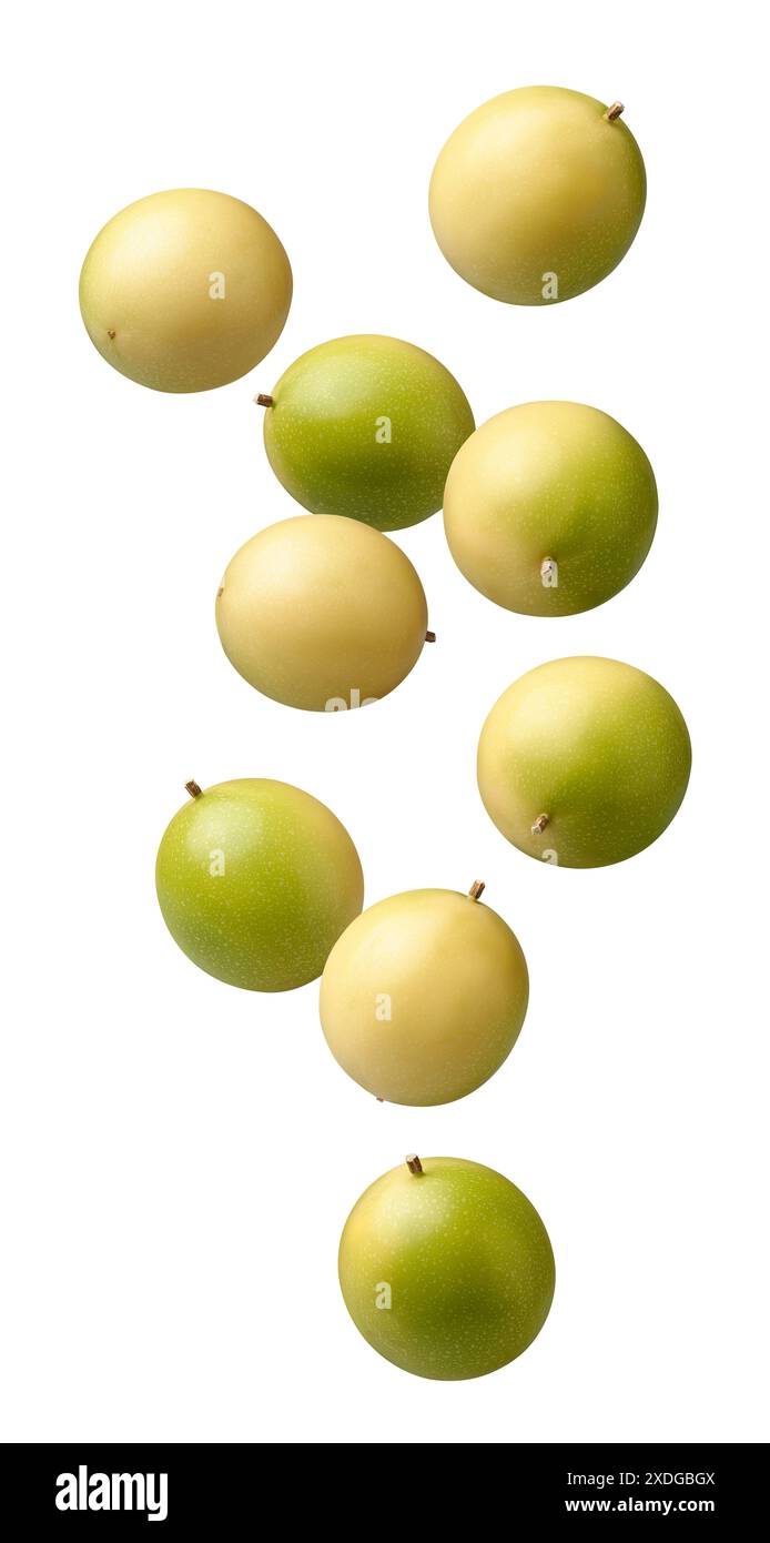 ripe yellow passion fruits falling isolated white background, round ...