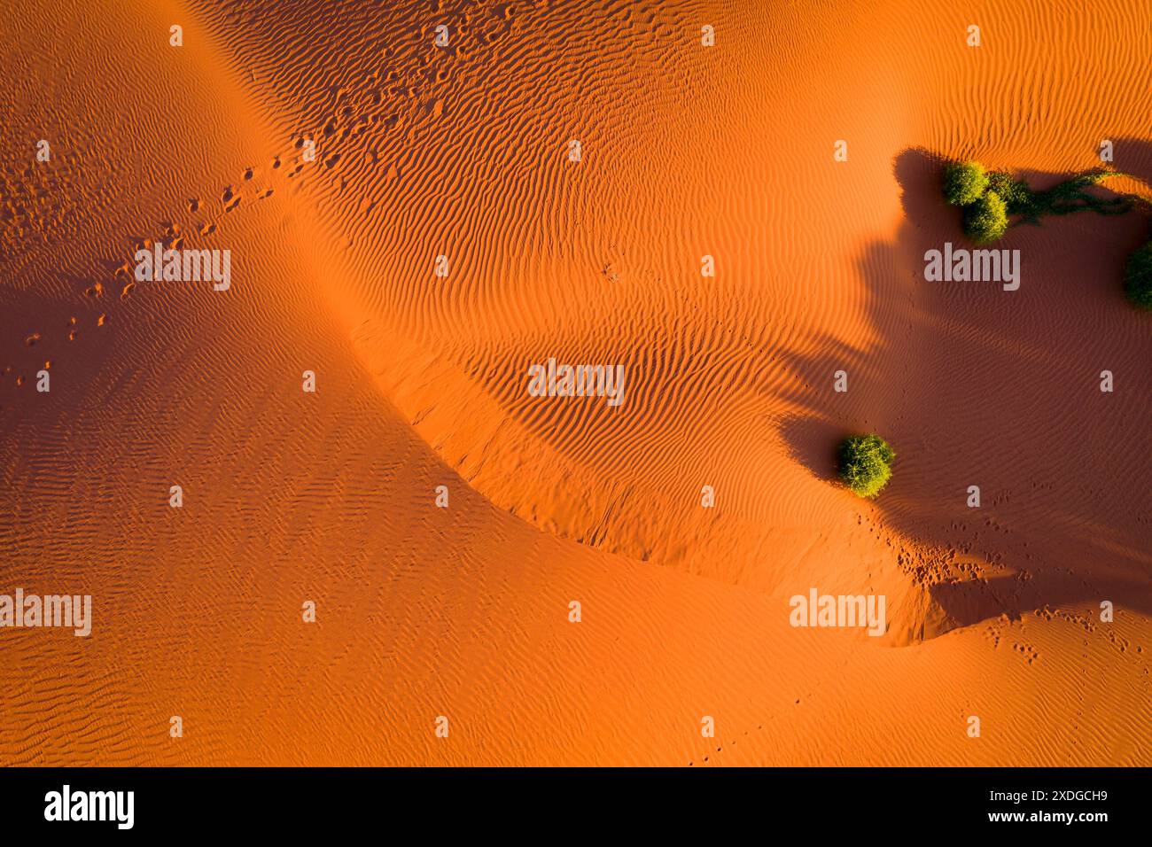 Aerial view sand dunes footprints hi-res stock photography and images ...