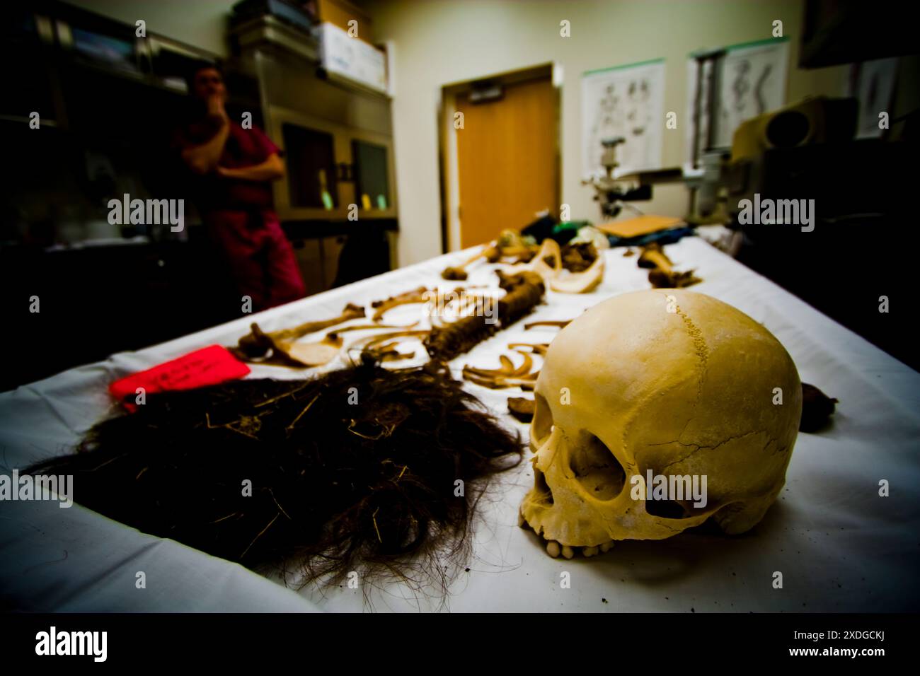 Dehydrated migrant skeleton skull hair cloth at morgue in USA Stock ...