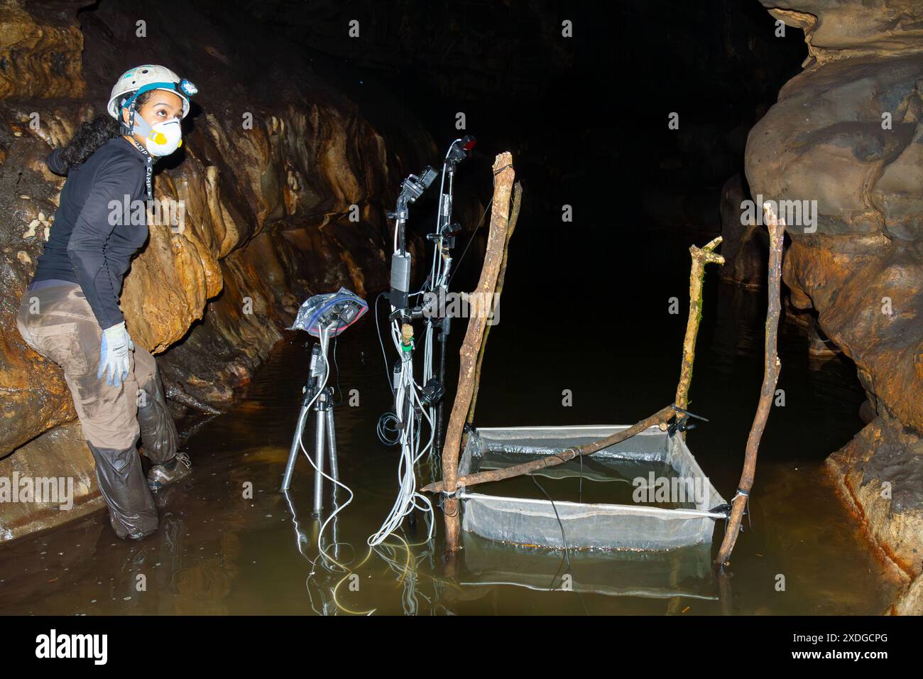 Biology scientists gathering samples life form organism in a cave Stock ...