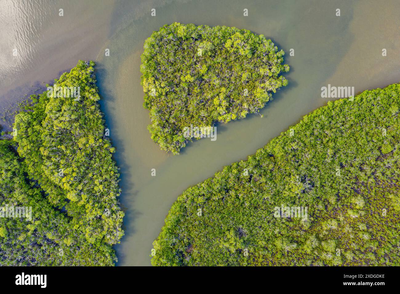 Aerial view of mangrove islands in a tidal estuary at Coochin Creek on ...