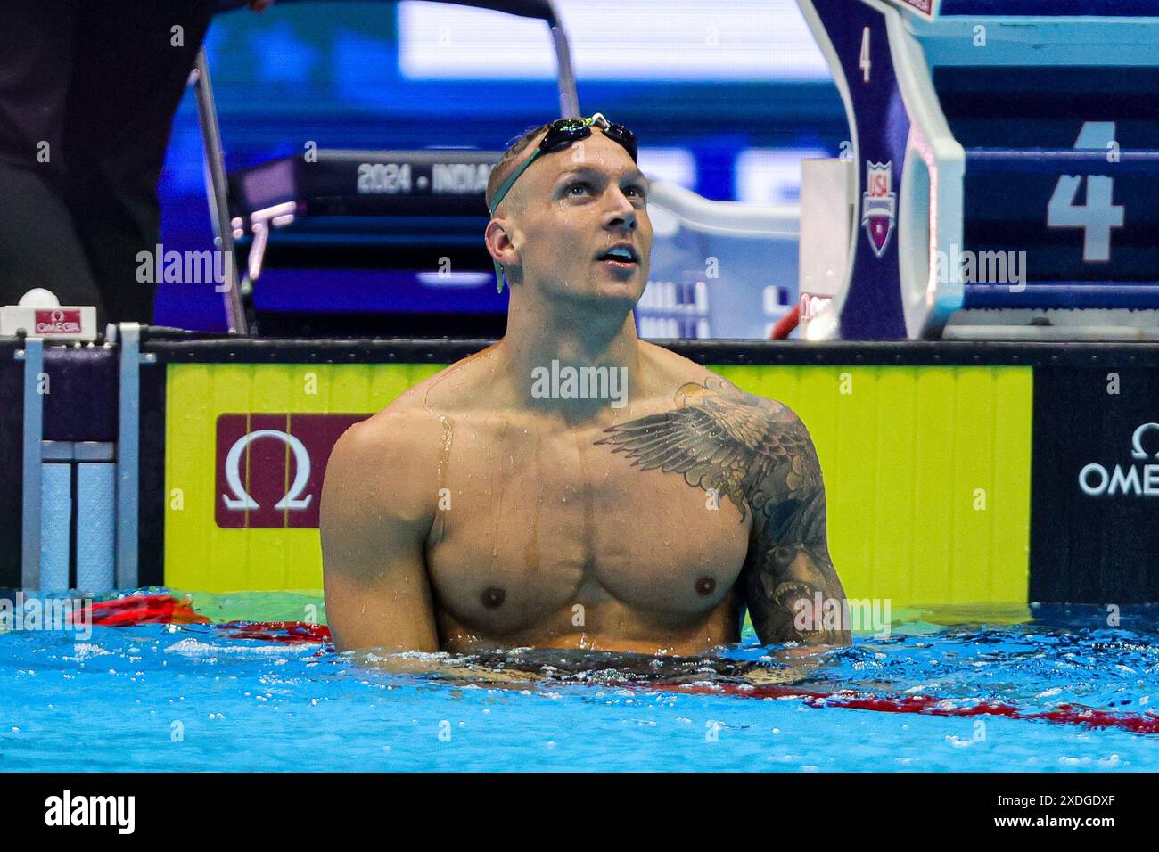 June 22, 2024, Indianapolis, Indiana, USA: CAELEB DRESSEL (Gator Swim ...