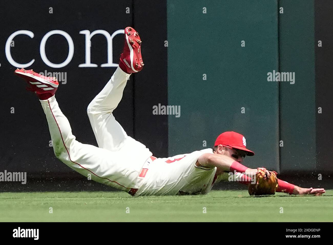 St. Louis Cardinals center fielder Michael Sinai hits the ground after ...