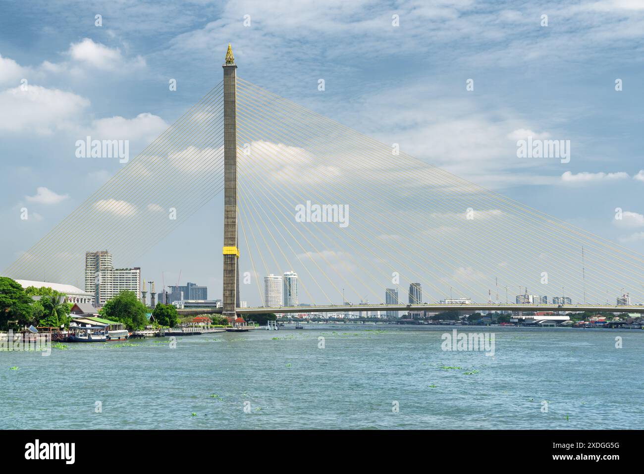 Wonderful view of Rama VIII Bridge over the Chao Phraya River in ...