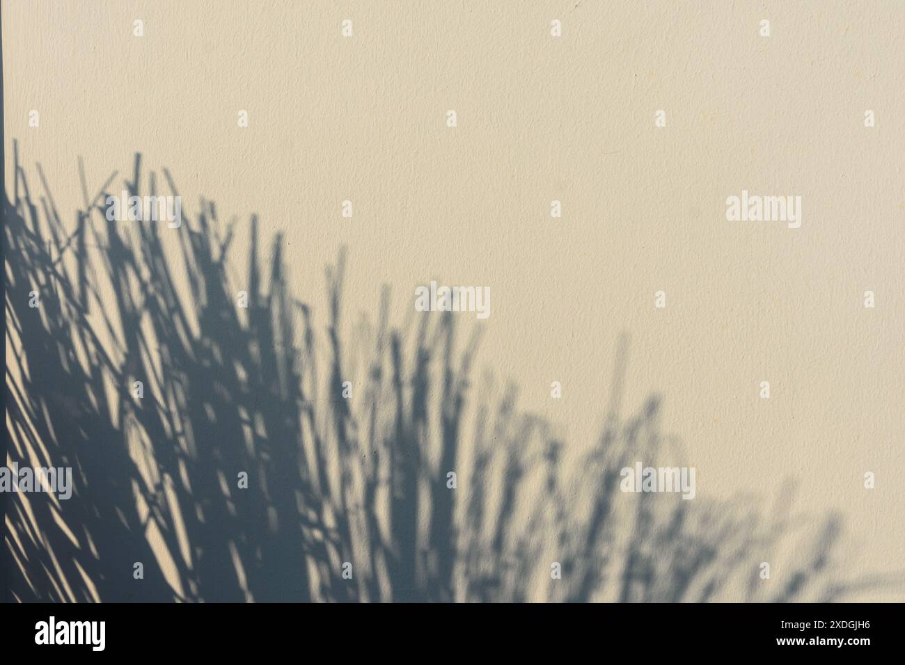 Empty space for graphic overlay hi-res stock photography and images - Alamy