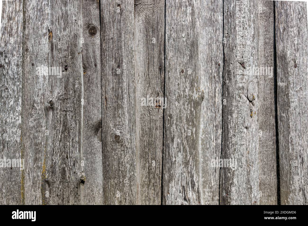 Texture Background Of An Old Wood Natural Boards Stock Photo - Alamy