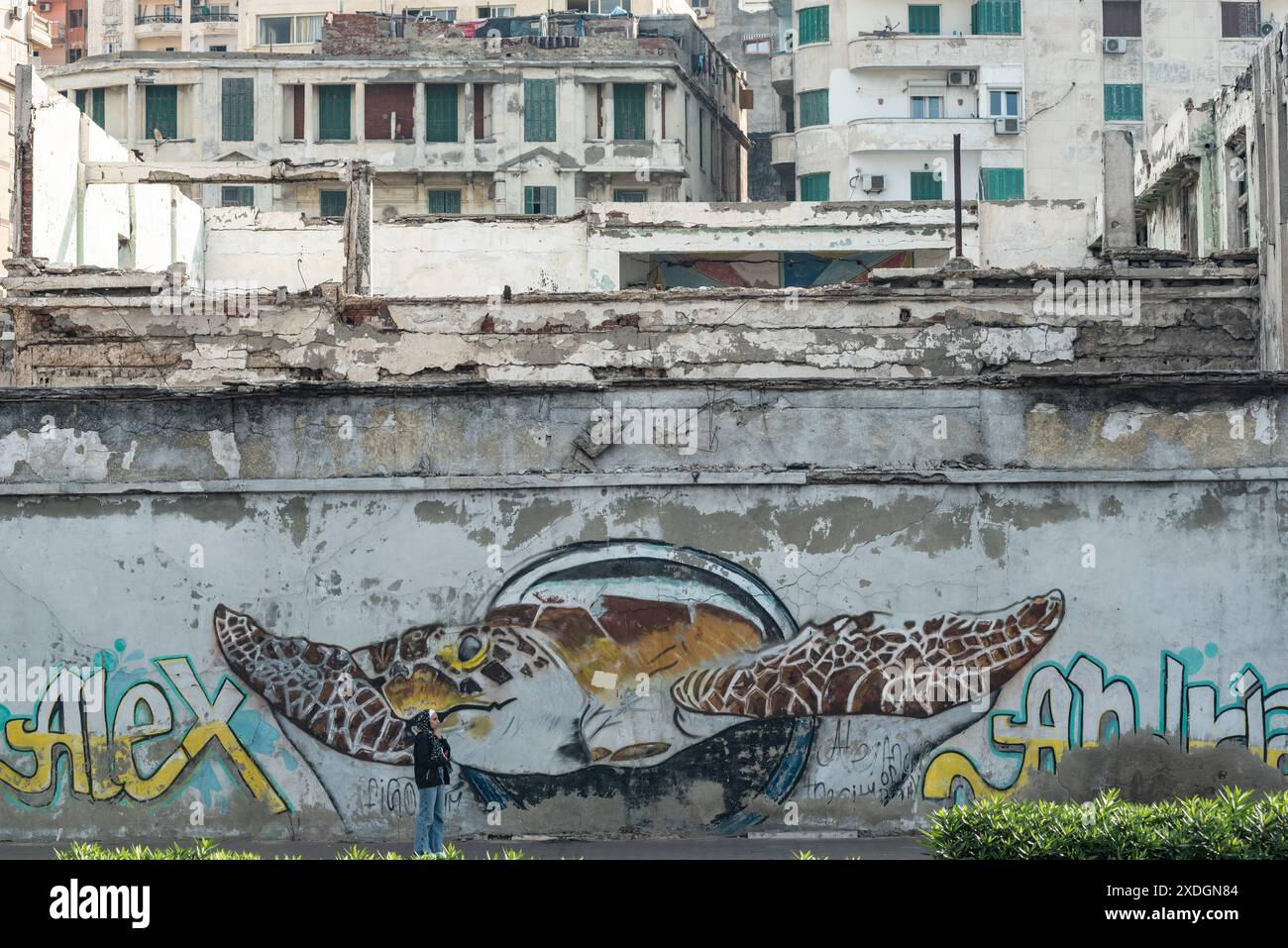 A giant mural of a sea turtle emerging from a concrete sea, the ...