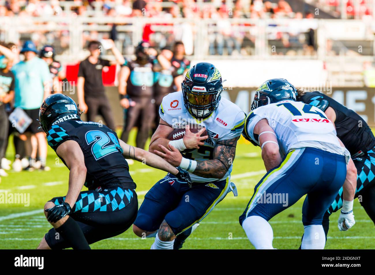 Nuernberg, Germany. 22nd June, 2024. European League of Football, ELF ...