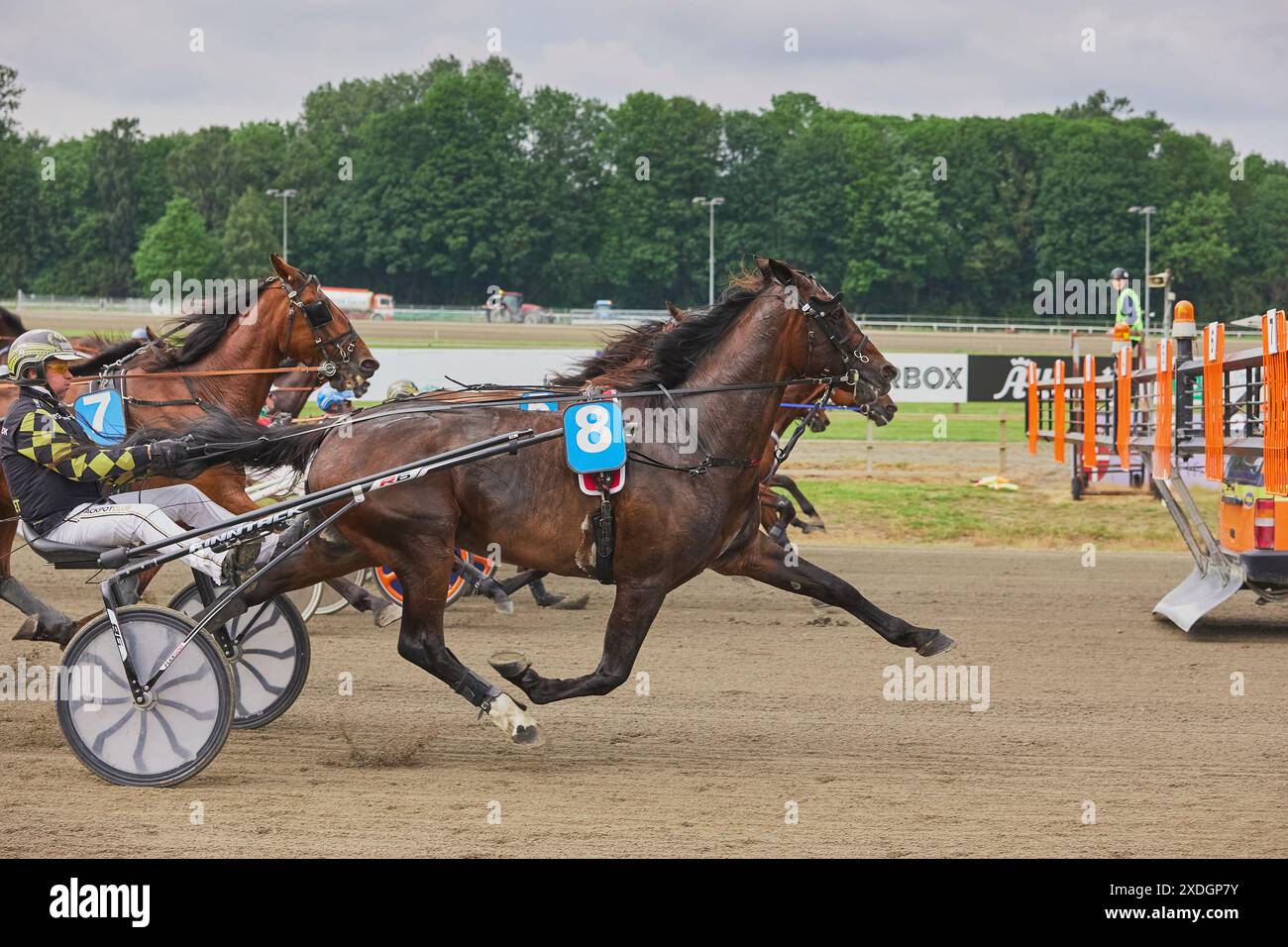 Odense, Denmark, May 31, 2024: Horse racing with carts at hippodrome ...