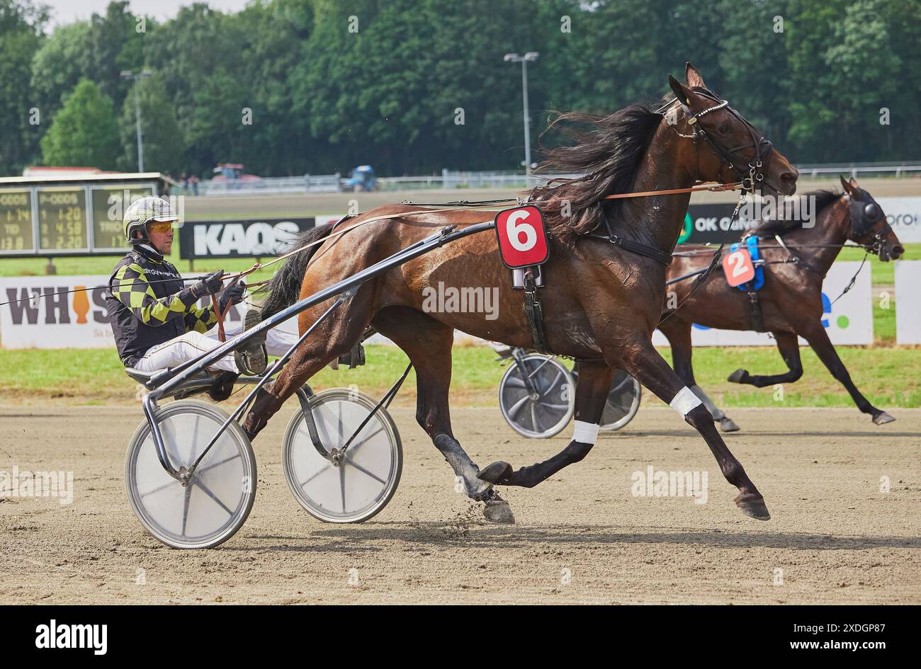 Odense, Denmark, May 31, 2024: Horse racing with carts at hippodrome ...