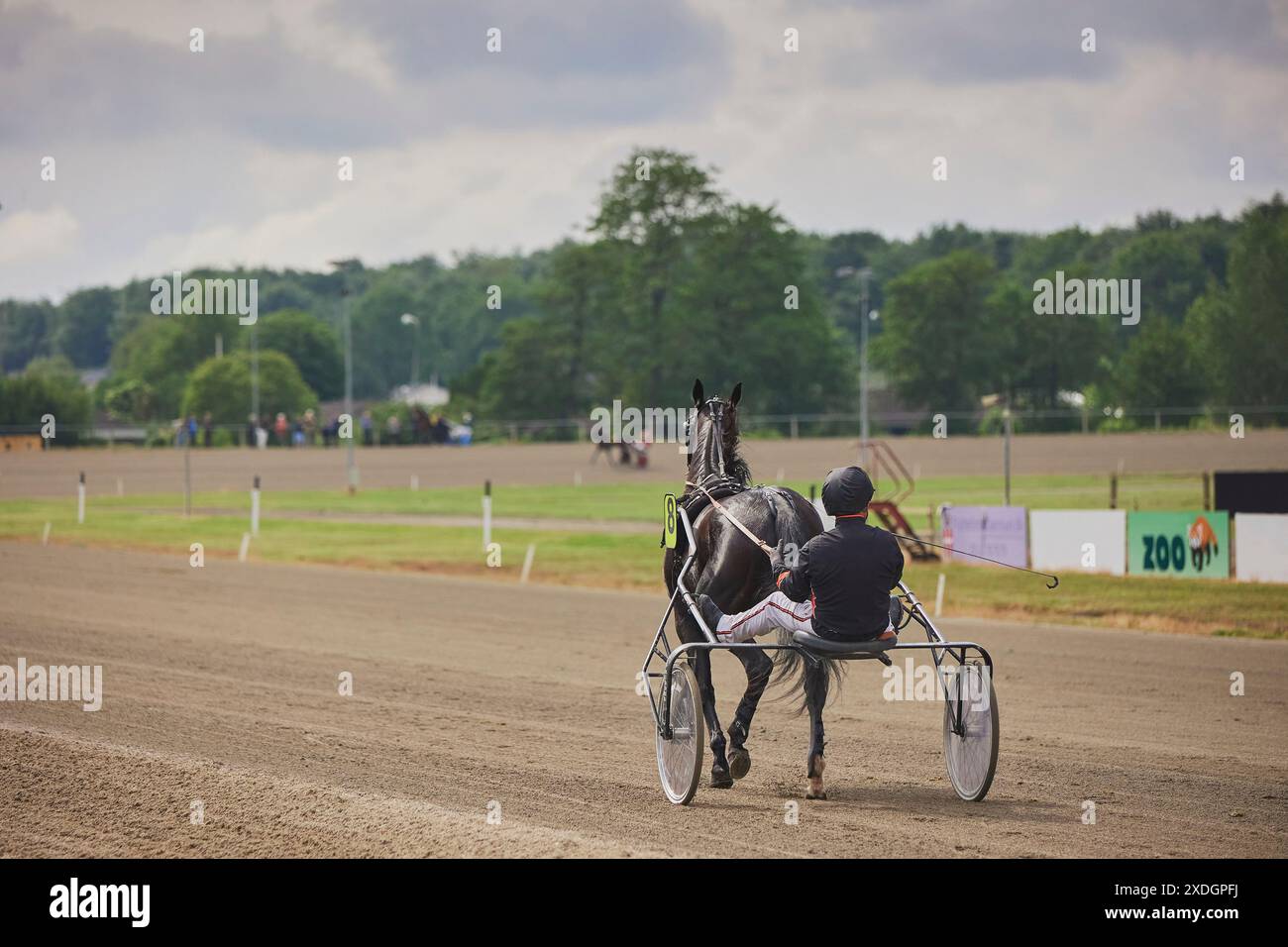 Horse racing with carts at the hippodrome in Denmark Stock Photo - Alamy