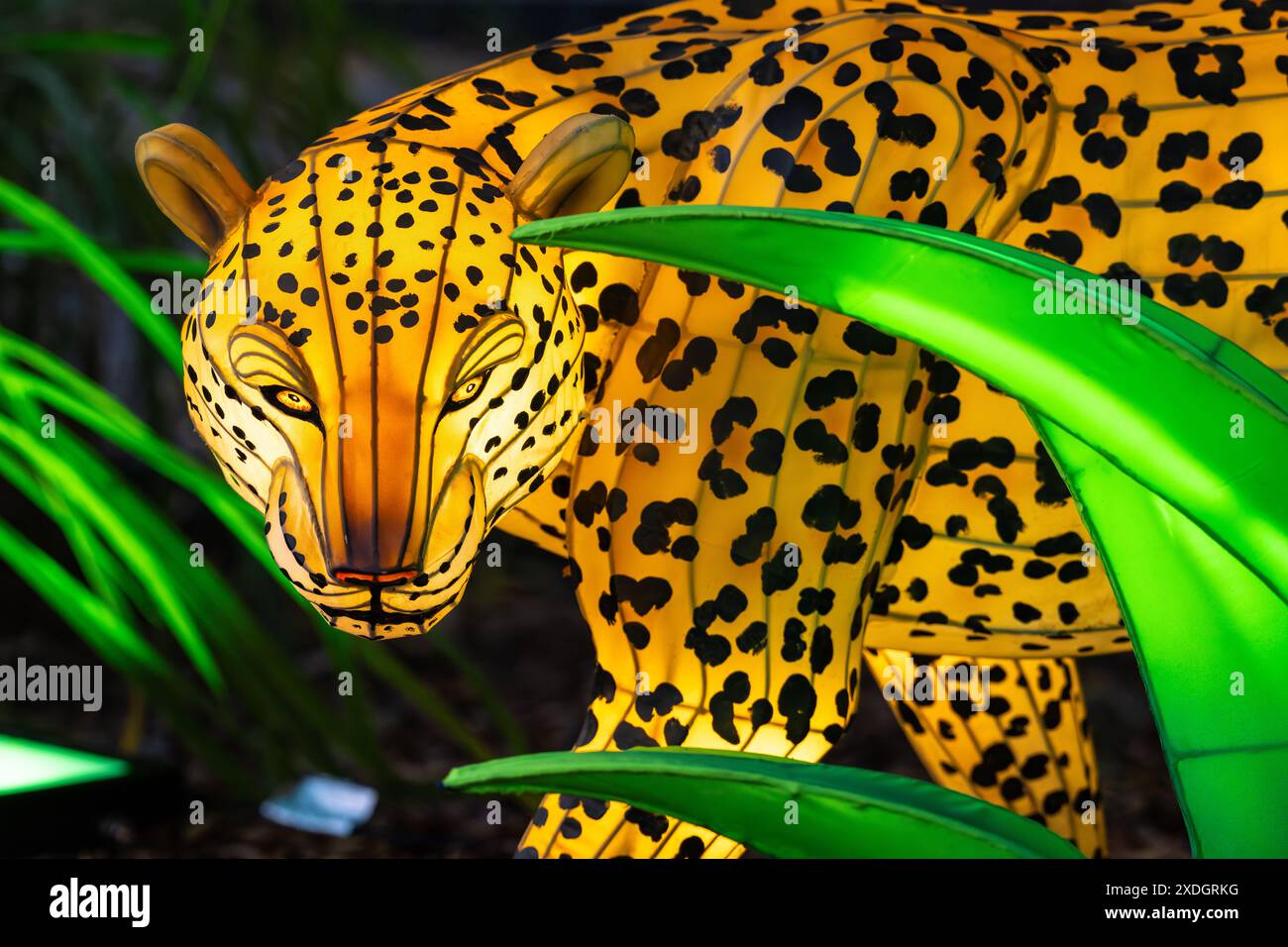 Leopard chinese lantern art hi-res stock photography and images - Alamy
