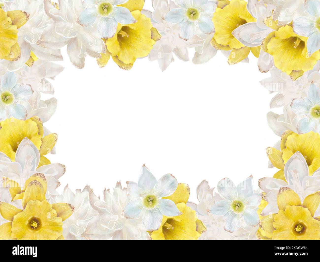 Beautiful floral border with yellow and white flowers, perfect for ...