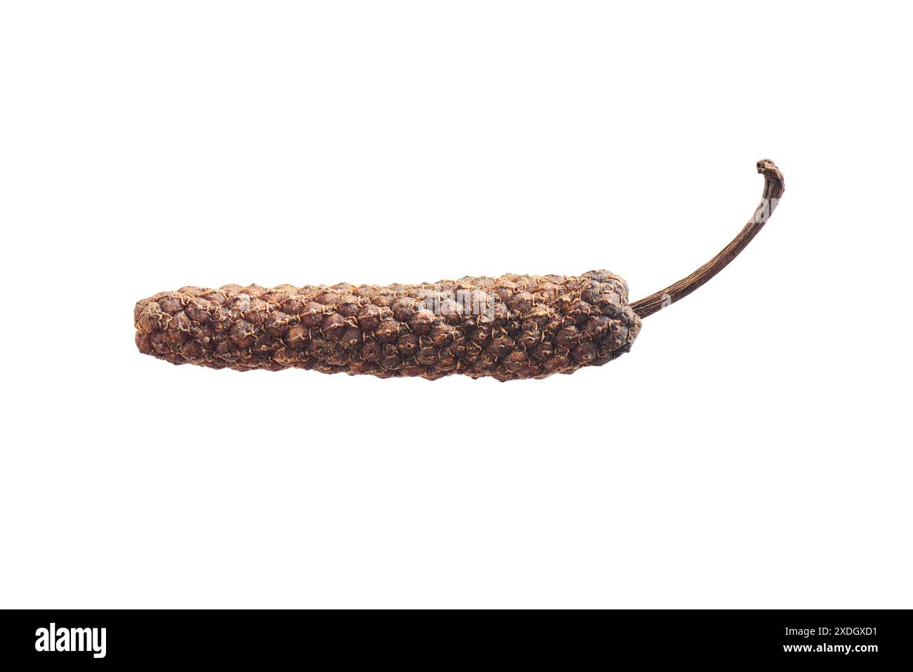 Java long pepper hi-res stock photography and images - Alamy