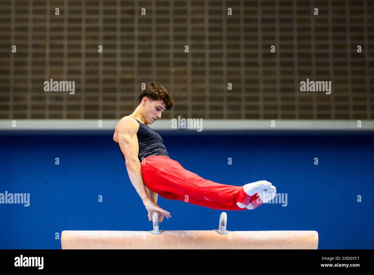 22 June 2024, Hesse, Rüsselsheim: Gymnastics: Olympic qualification ...