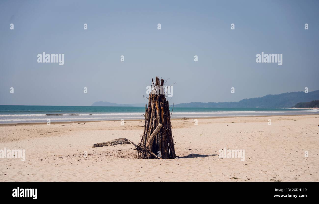 A beautiful beach landscape with big sticks and the ocean in the ...