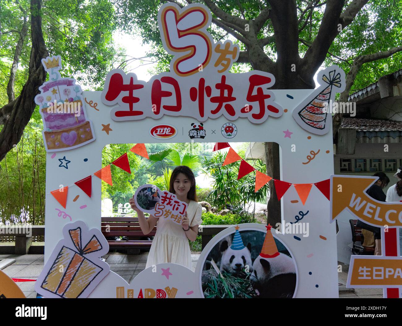 CHONGQING, CHINA - JUNE 23, 2024 - Giant pandas Shuangshuang, Shuang Shan, Xi Xi and Qing Qing ...