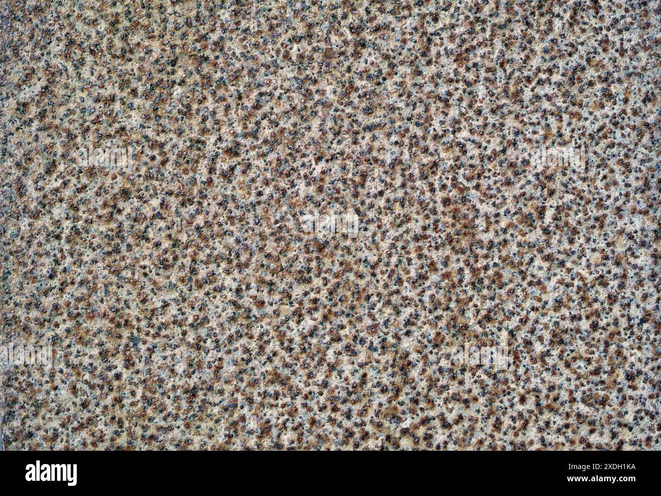 Ground stippled hi-res stock photography and images - Alamy
