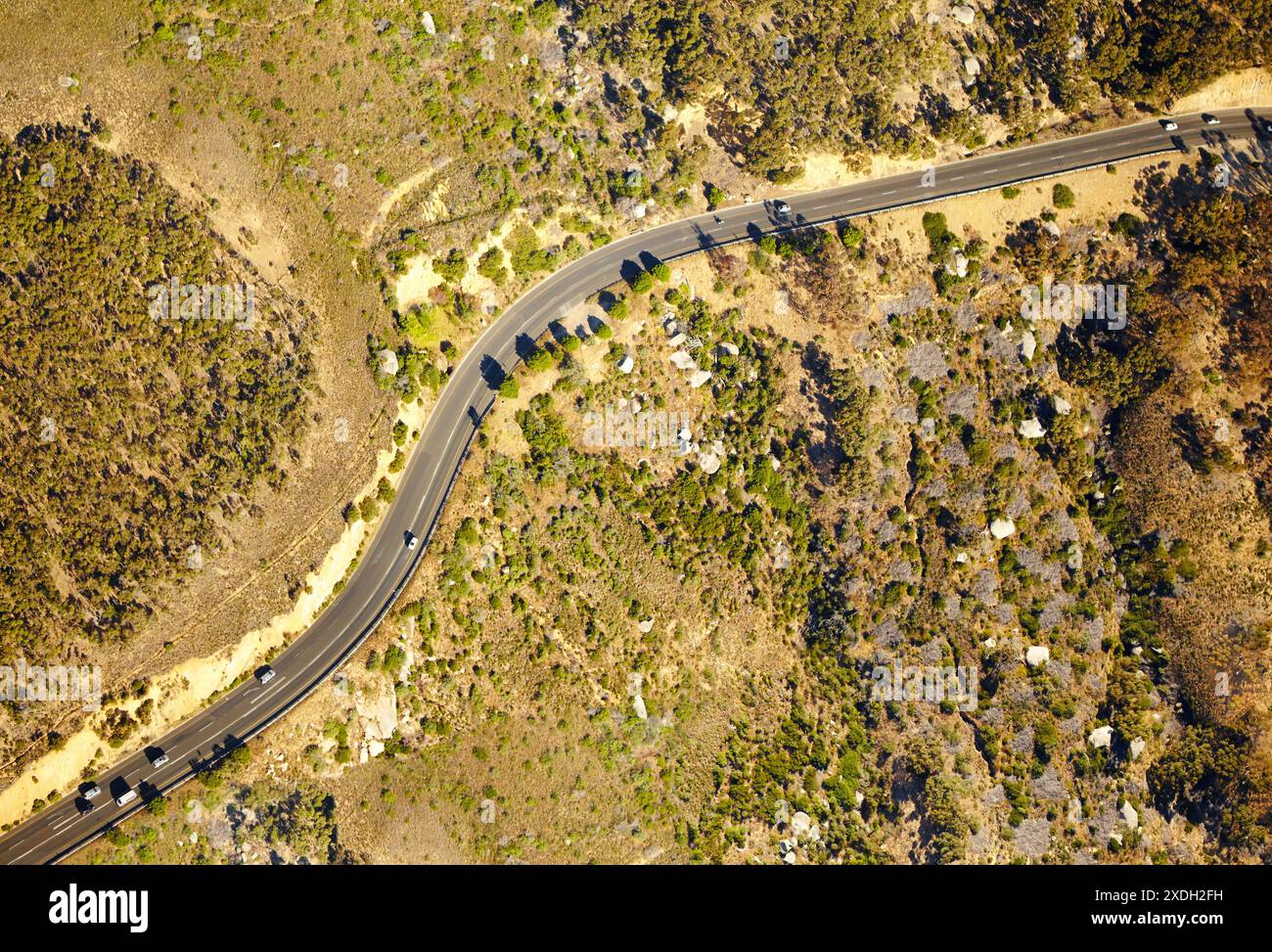 Aerial view, city and nature of trees, location and destination for ...