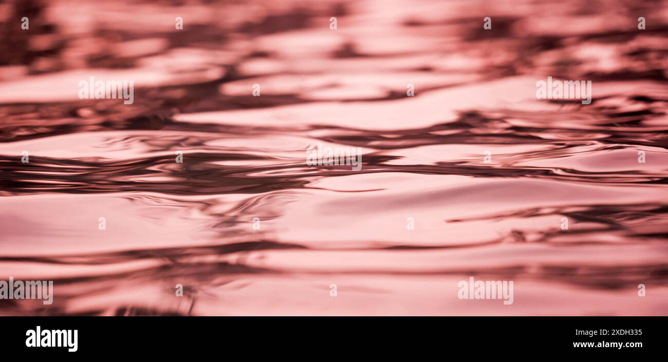 A image of violet ocean waves featuring a water surface in detail Stock ...