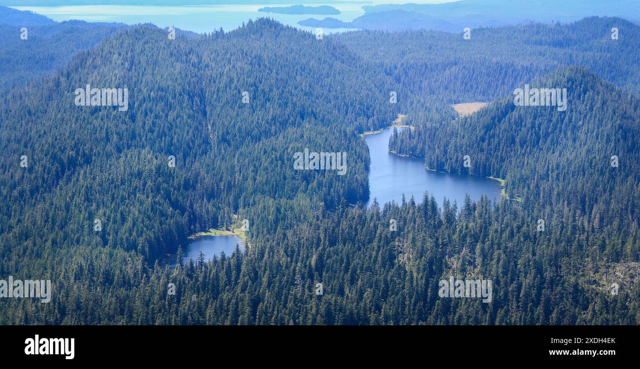 Aerial view of rainforest and lakes. Misty Fjords National Monument ...