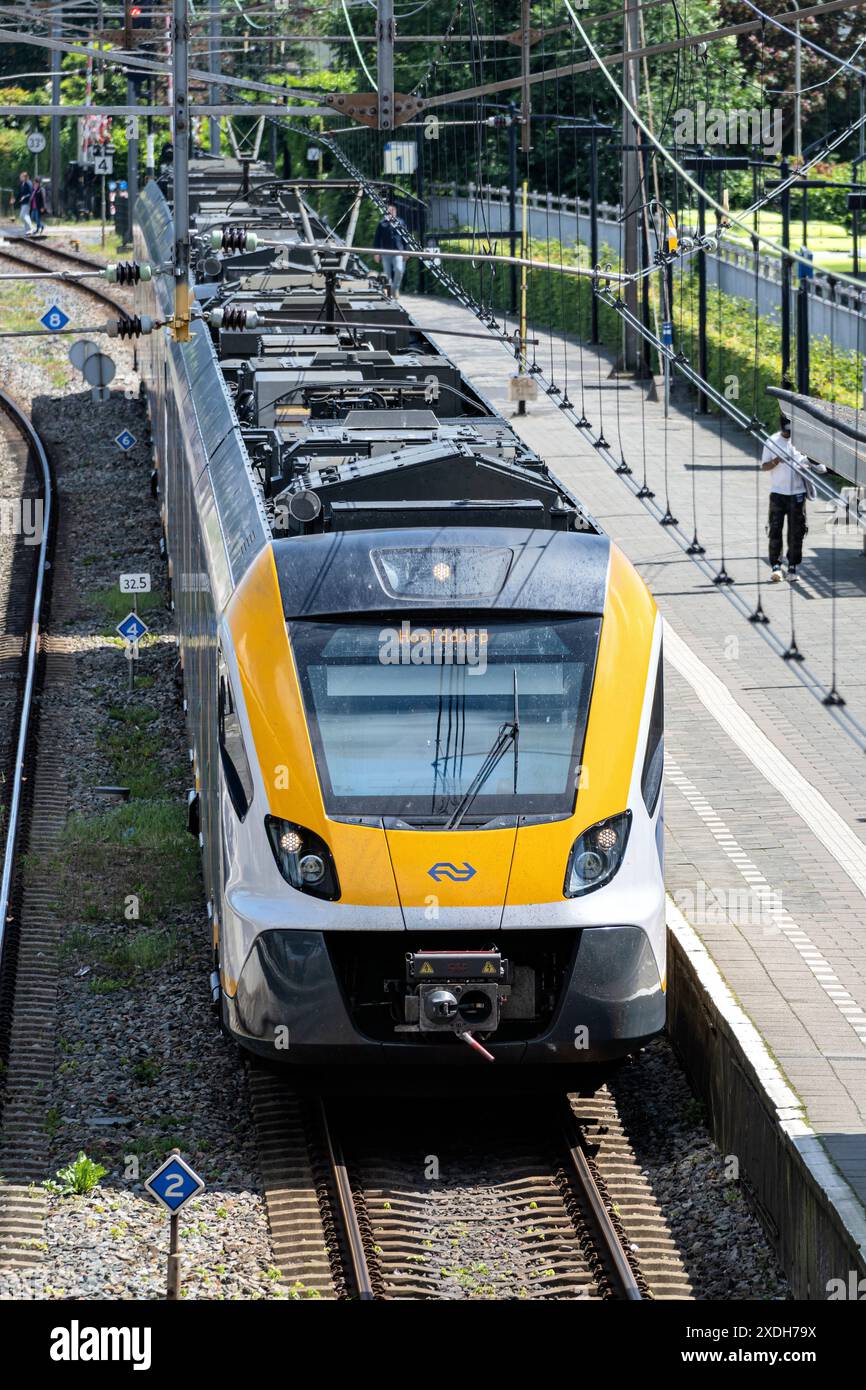 Nederlandse Spoorwegen File:Nederlandse Spoorwegen Logo.svg