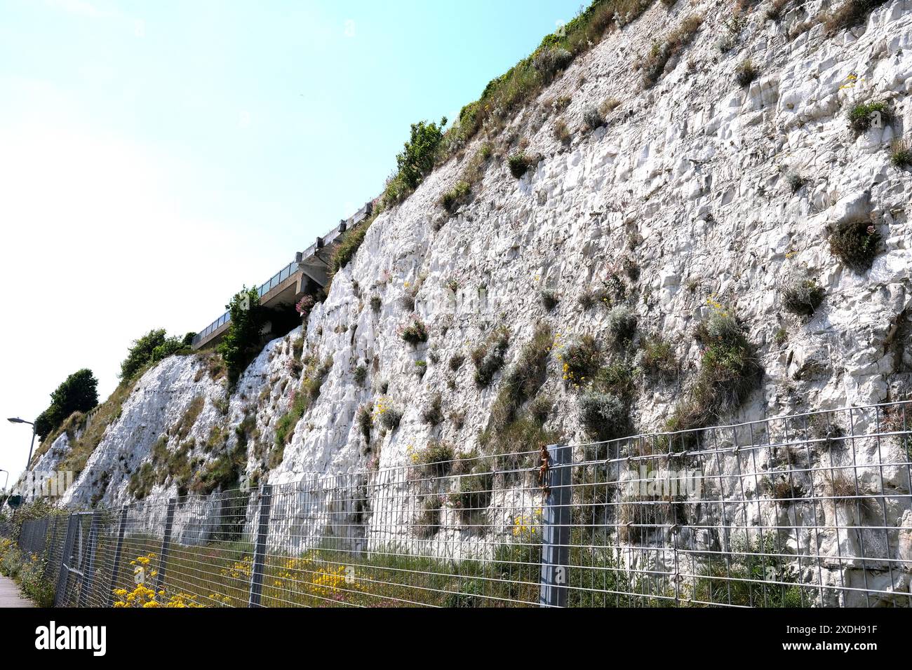 chalk cliffs in ramsgate town,thanet,east kent,uk june 2024 Stock Photo ...