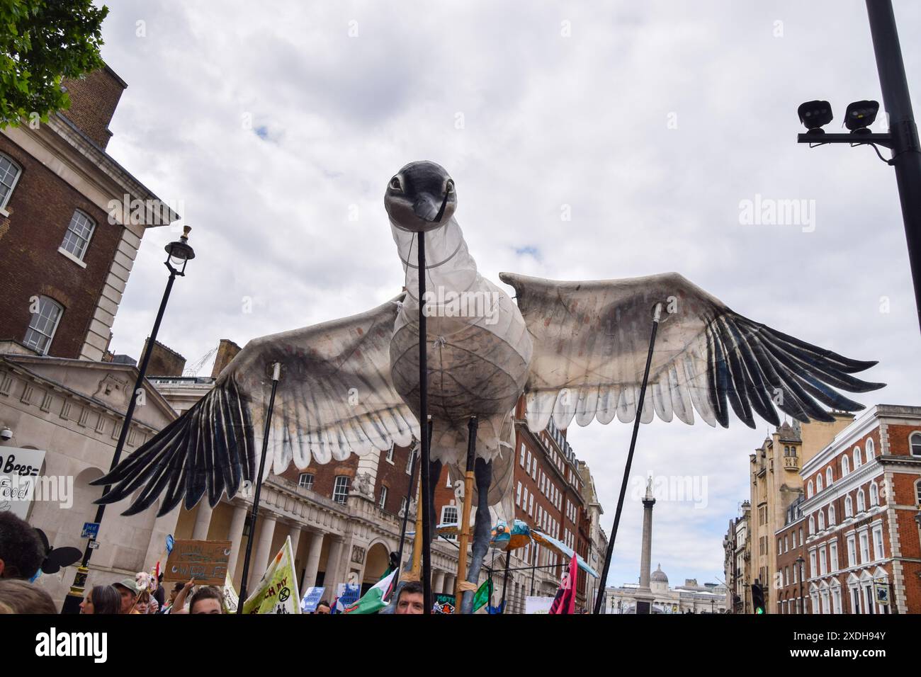 London, UK. 22nd June 2024. Members of RSPB pass through Whitehall ...