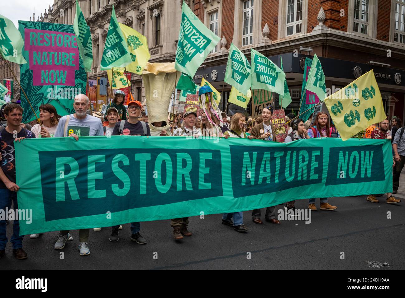 London / UK - Jun 22 2024: Climate activists protest at the Restore ...