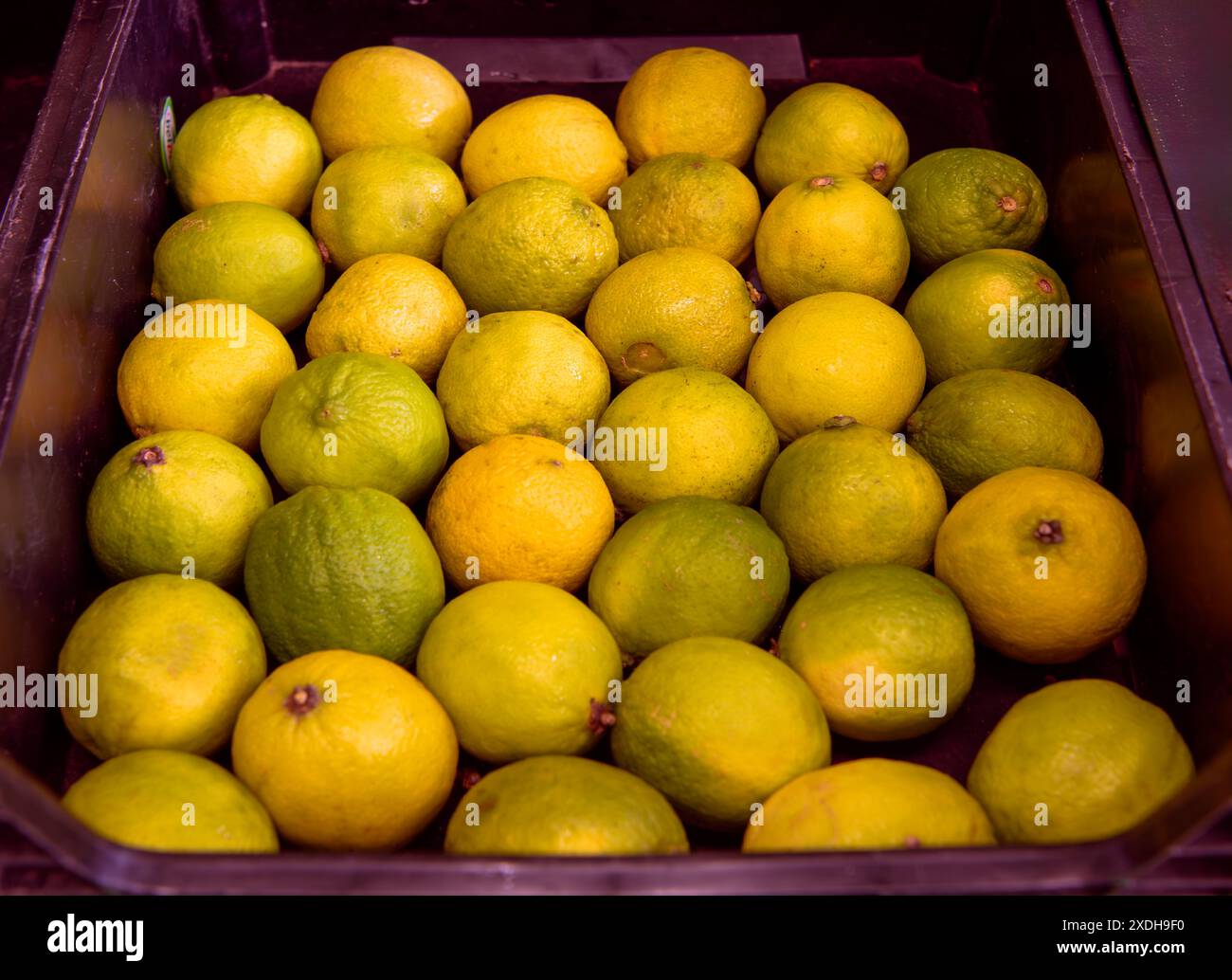 Lemons in box hi-res stock photography and images - Alamy